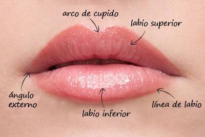 Cómo Aprender A Dibujar Labios Paso A Paso De Cualquier Persona (2023)