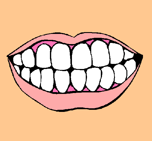 Aprende Cómo Dibujar Dientes - Imágenes Y Consejos - PracticArte