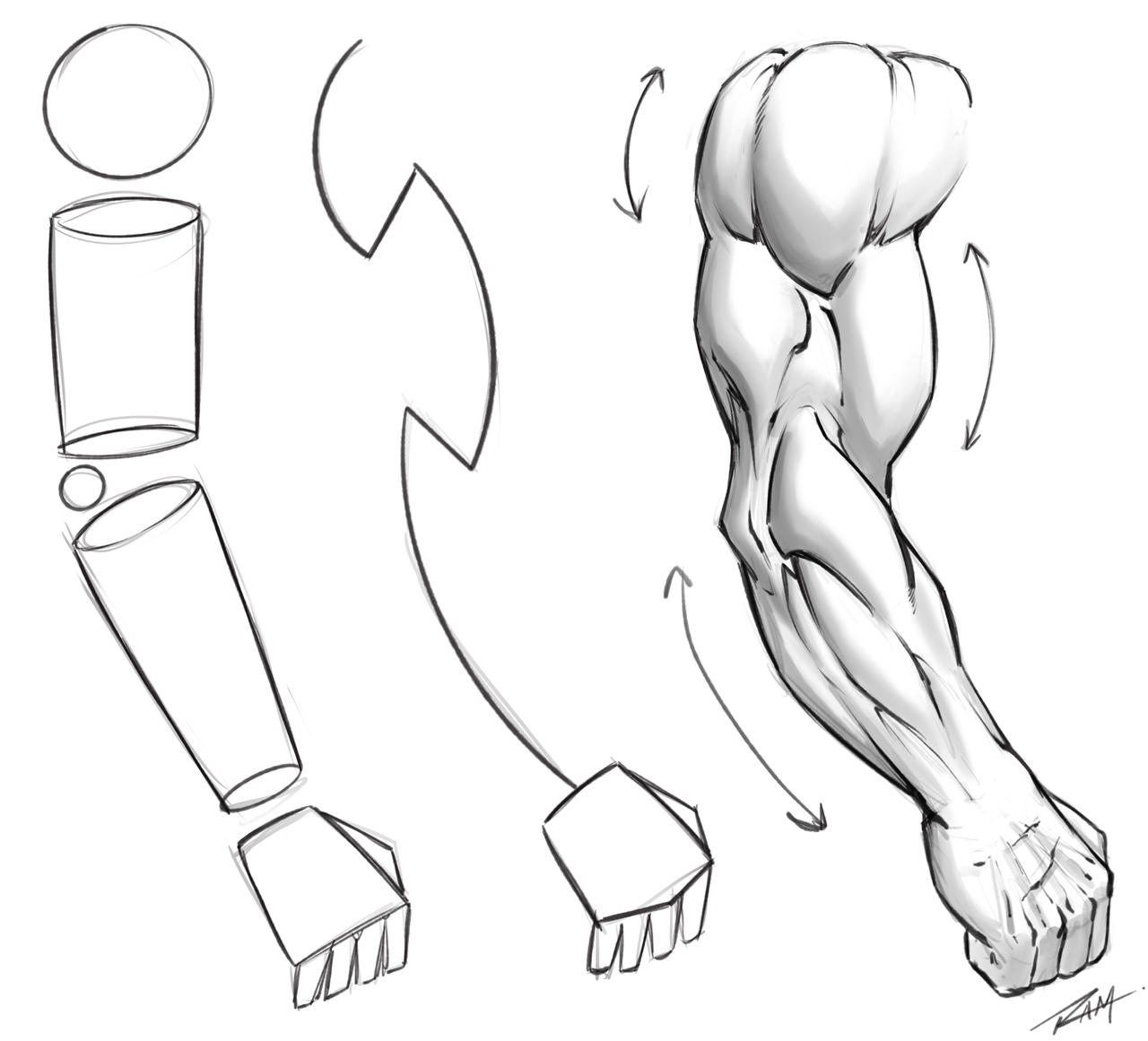 Aprende Cómo Dibujar Brazos - Imágenes Y Consejos - PracticArte
