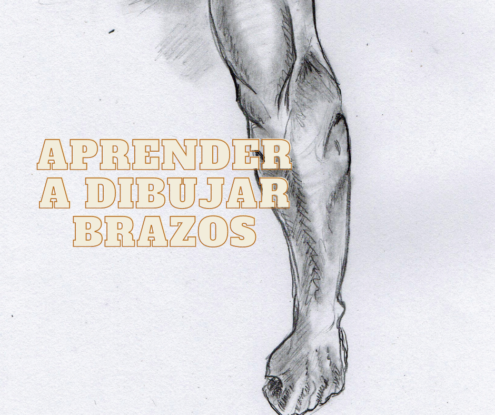 Aprende Cómo Dibujar Brazos - Imágenes Y Consejos - PracticArte